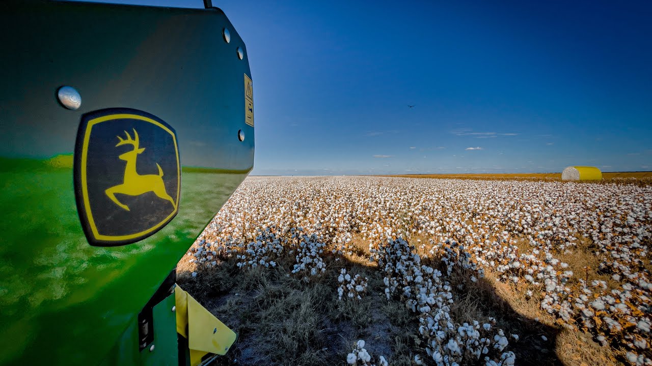 Australian cotton harvest 2023. Moree NSW. - YouTube