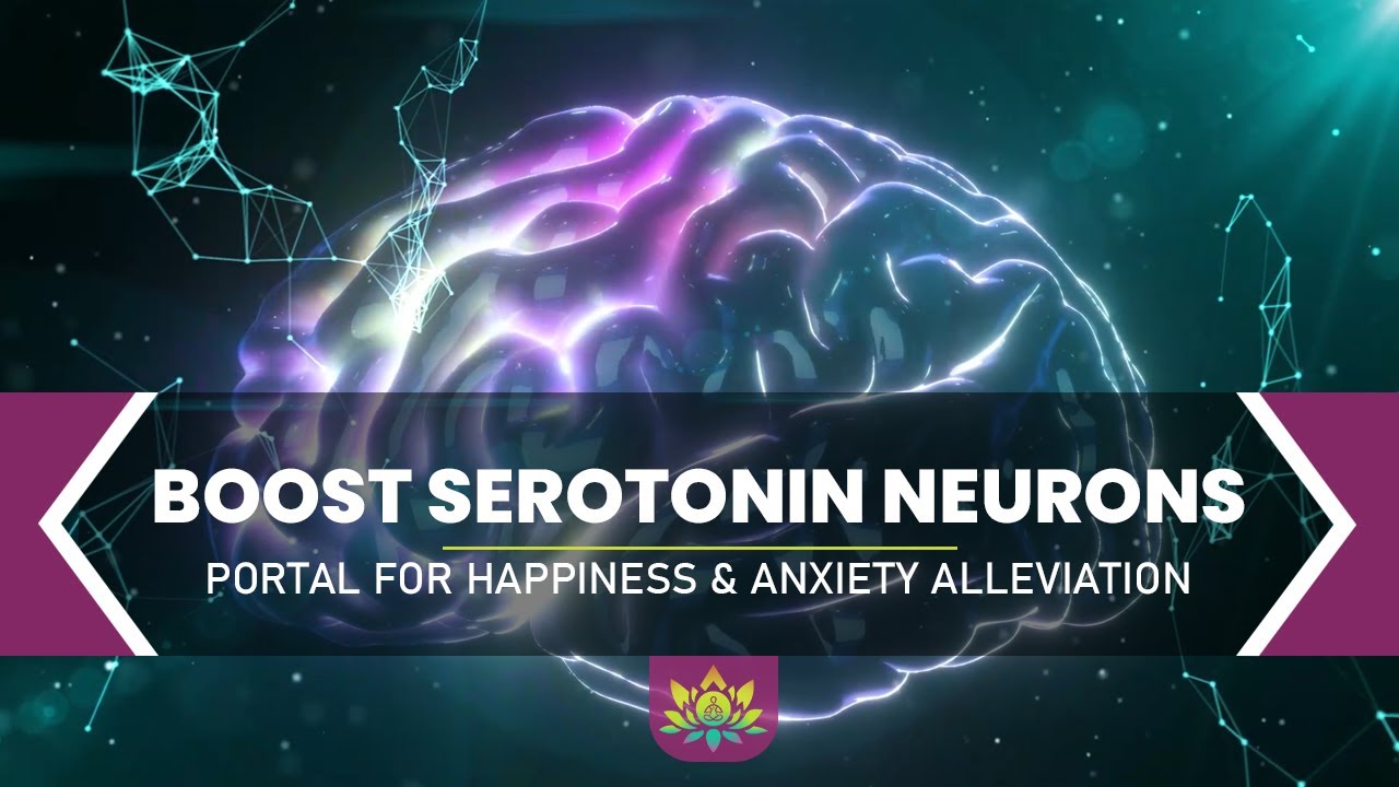 Boost Serotonin Neurons | Portal For Happiness, Inner Peace, Stress ...