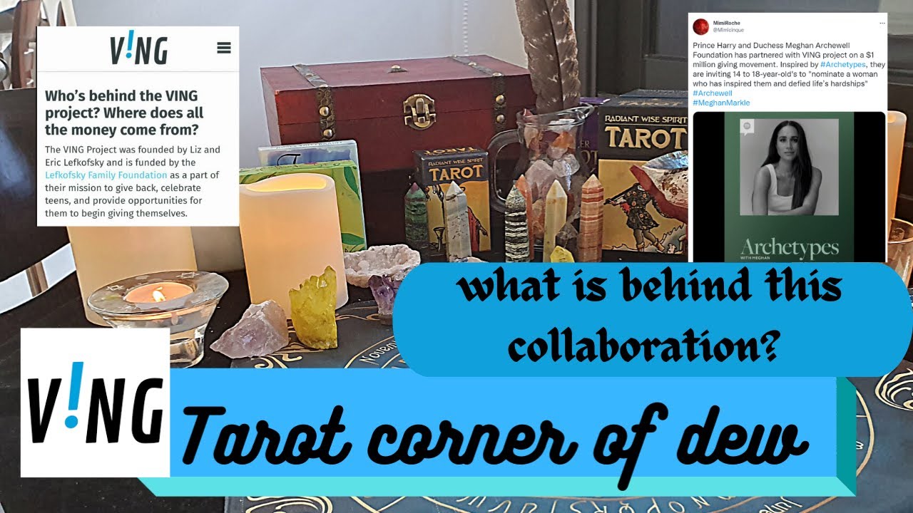 VING project and the Sussexes collaboration: What are both trying to ...