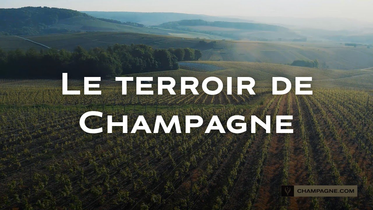 Le terroir de Champagne - YouTube