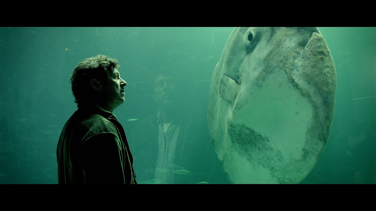 THE SUNFISH - Trailer - YouTube