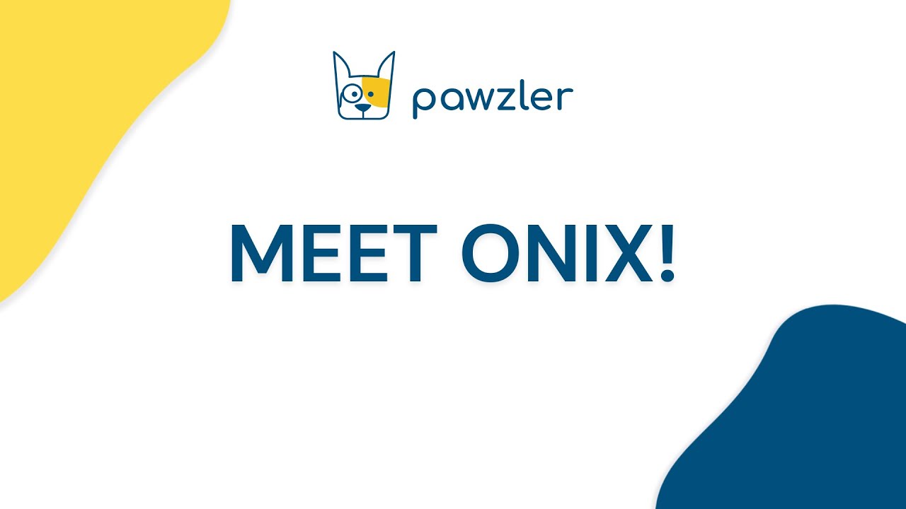 HOW TO USE ONIX - YouTube