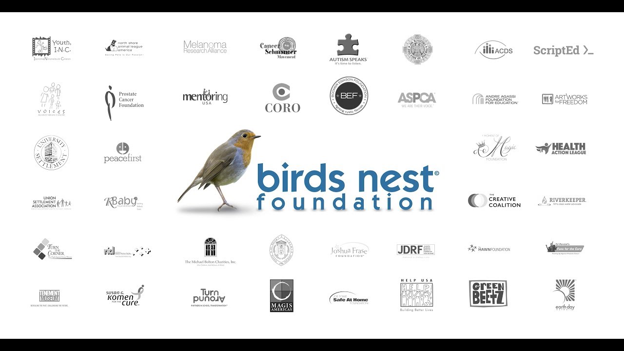 Birds Nest Foundation Showreel - YouTube