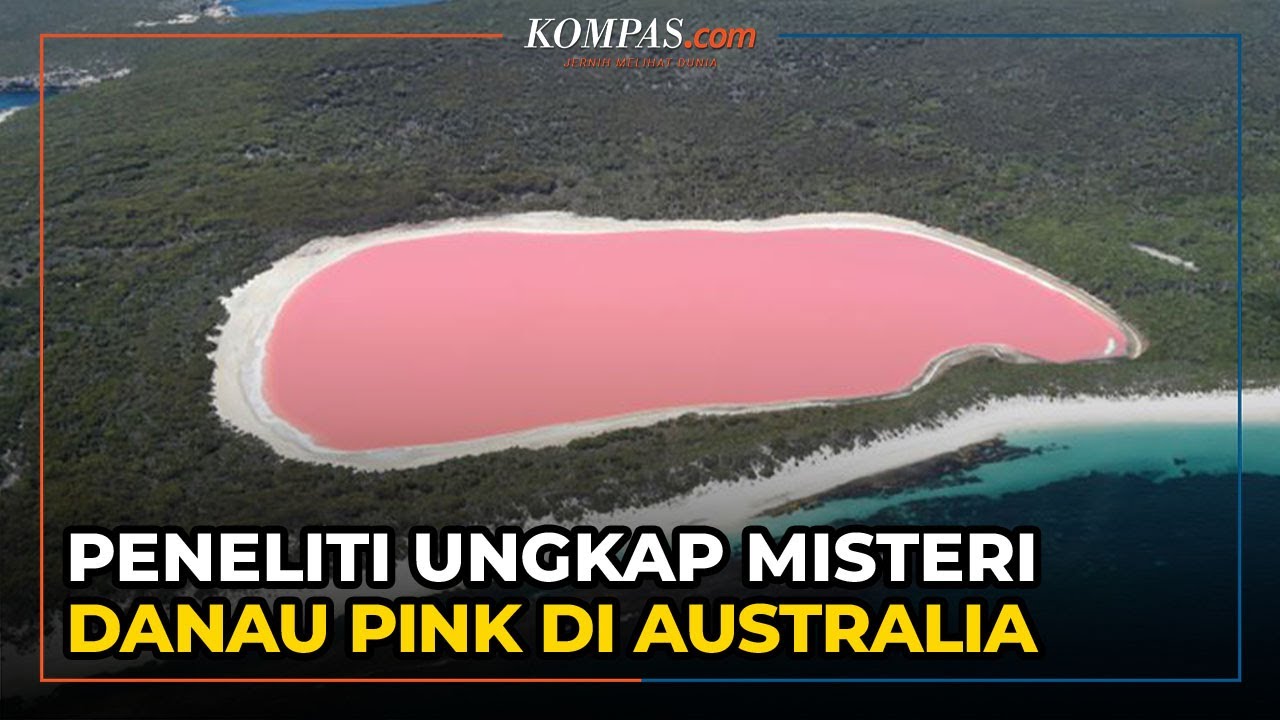 Peneliti Ungkap Misteri Danau Pink di Australia - YouTube