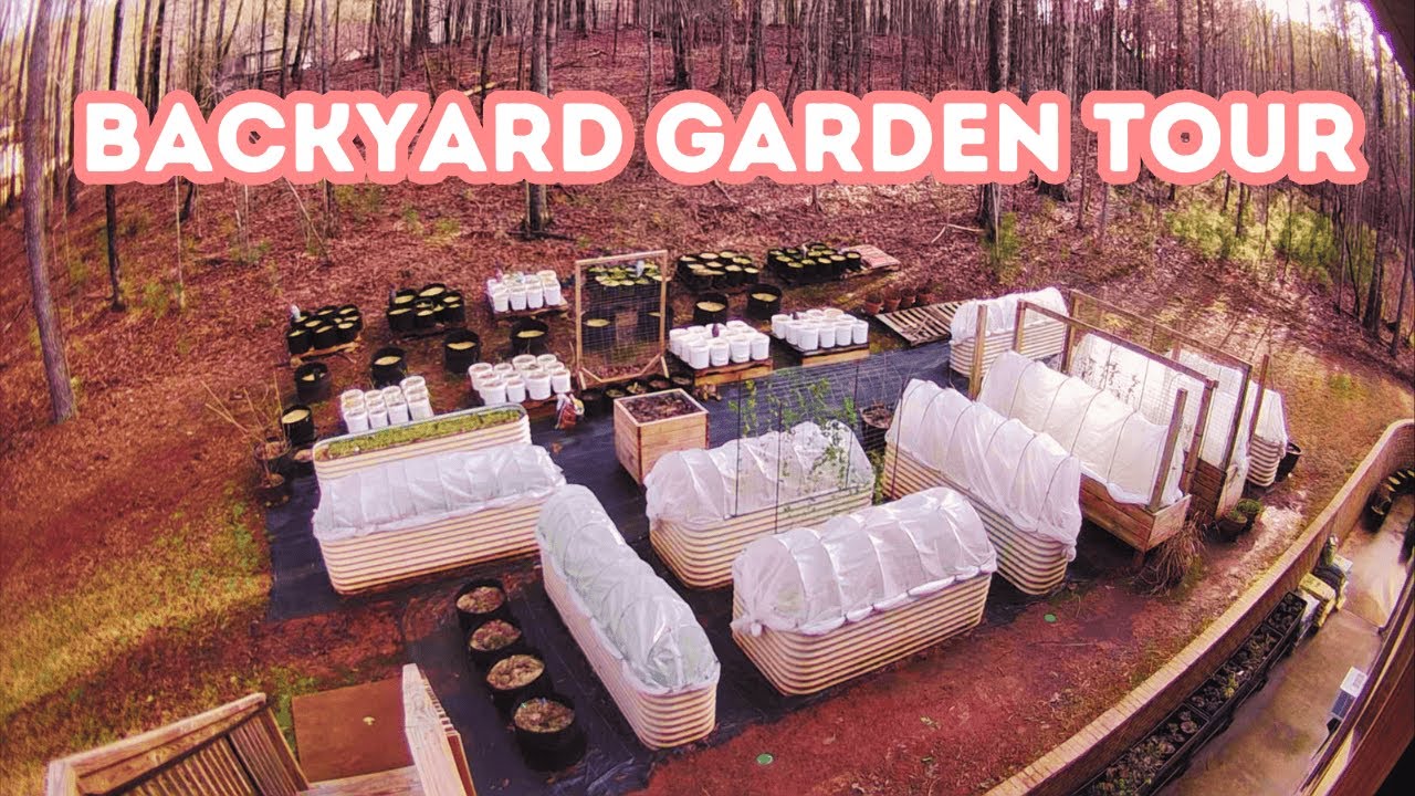 Garden Tour and Harvest | Loving the Winter Garden (Week 4) ️ January ...