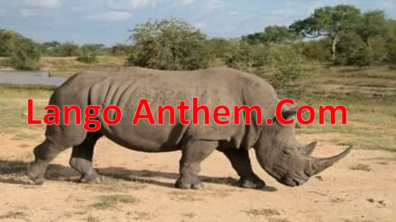 Lango Anthem in modern style, translation - YouTube