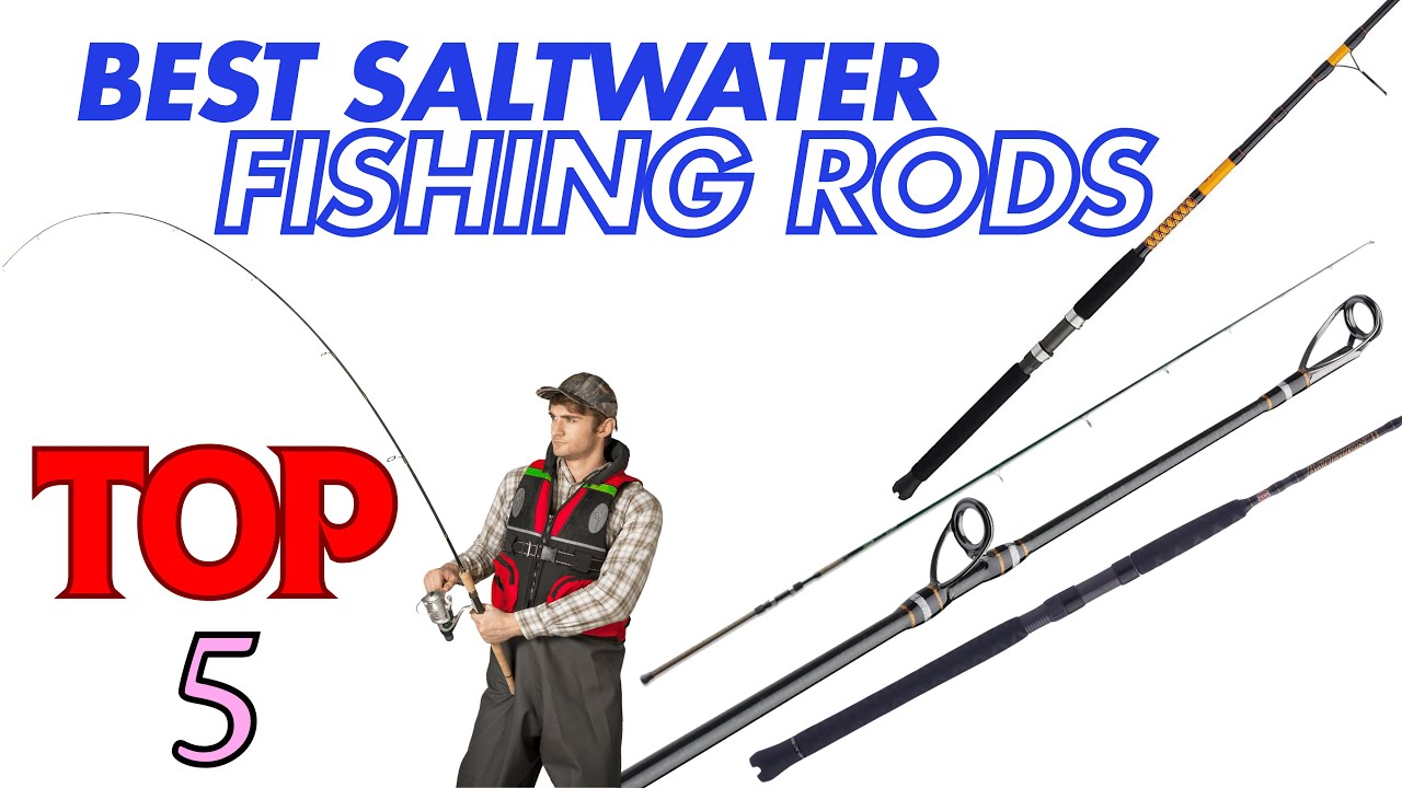 Best Saltwater Fishing Rods for Every Angler – Top Picks Reviewed ...