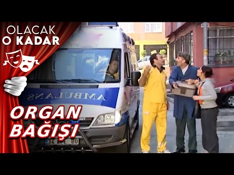 Organ Bağışı | Olacak O Kadar