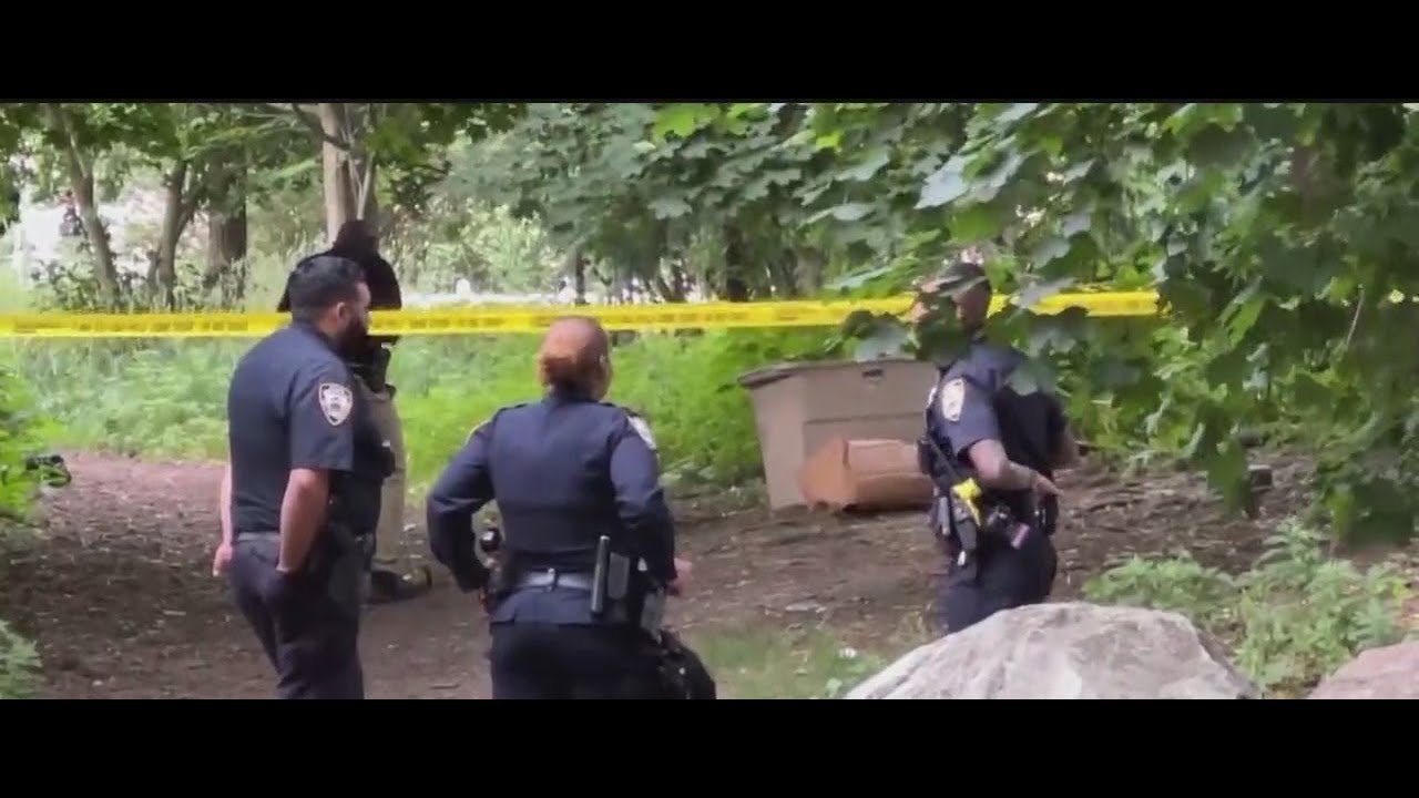Gruesome decomposing body of Black woman discovered near Bronx River Parkway - YouTube