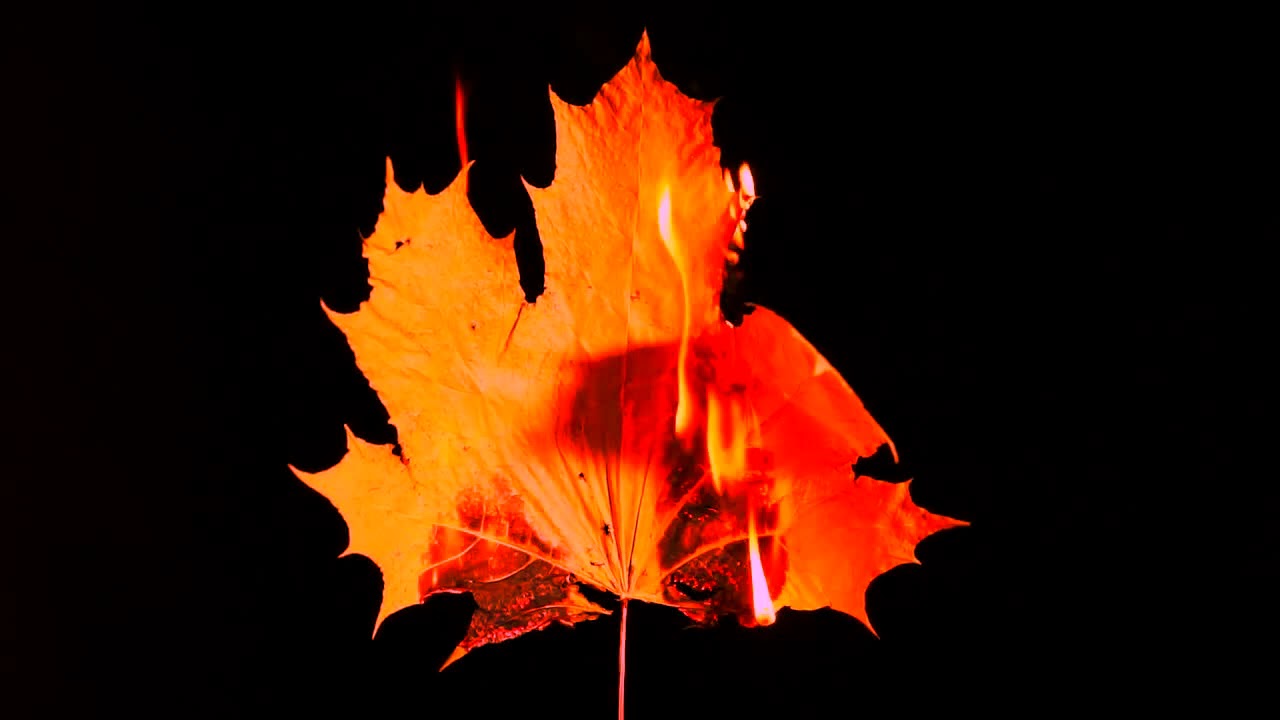 BTS * AUTUMN DYNAMITE * WELL IT SOUNDS EVEN SADDER THAN EXPECTED HAVE A ...