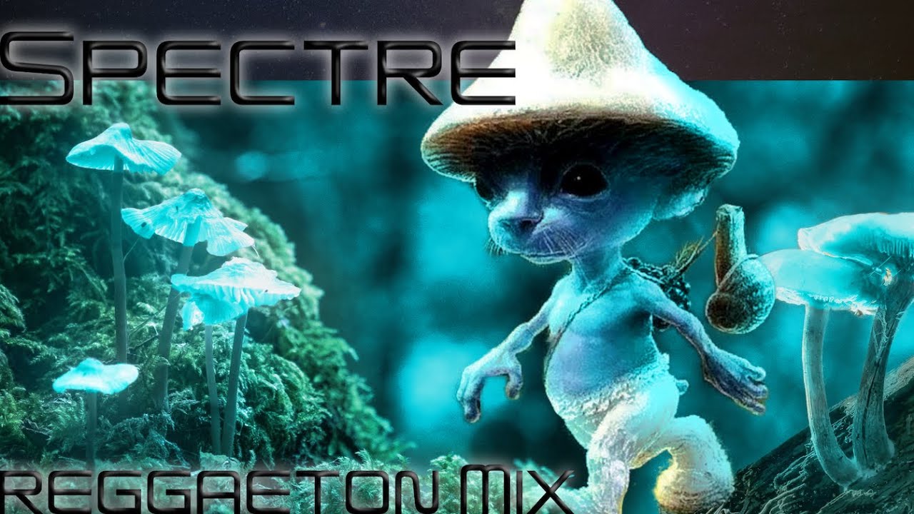 Spectre - Smuf Cat Reggaeton Mix - Alan Walker - YouTube