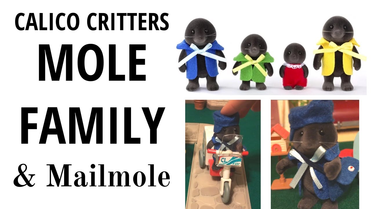 🐾 Calico Critters MOLE FAMILY featuring Mr. Mail-Mole! 2019 Sylvanian ...