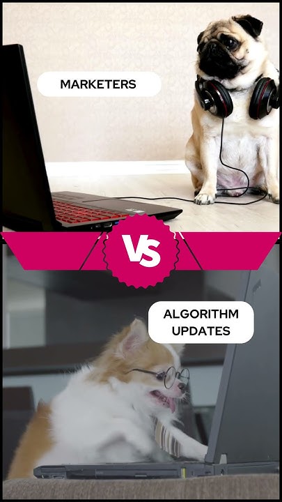 Marketers vs. Algorithm Updates - YouTube