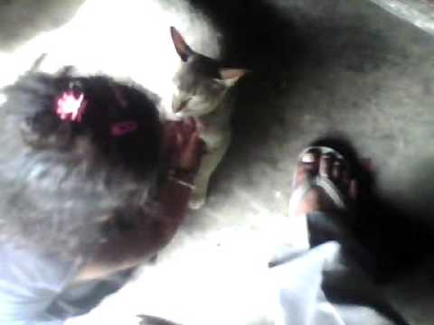 Mithi with cat - YouTube
