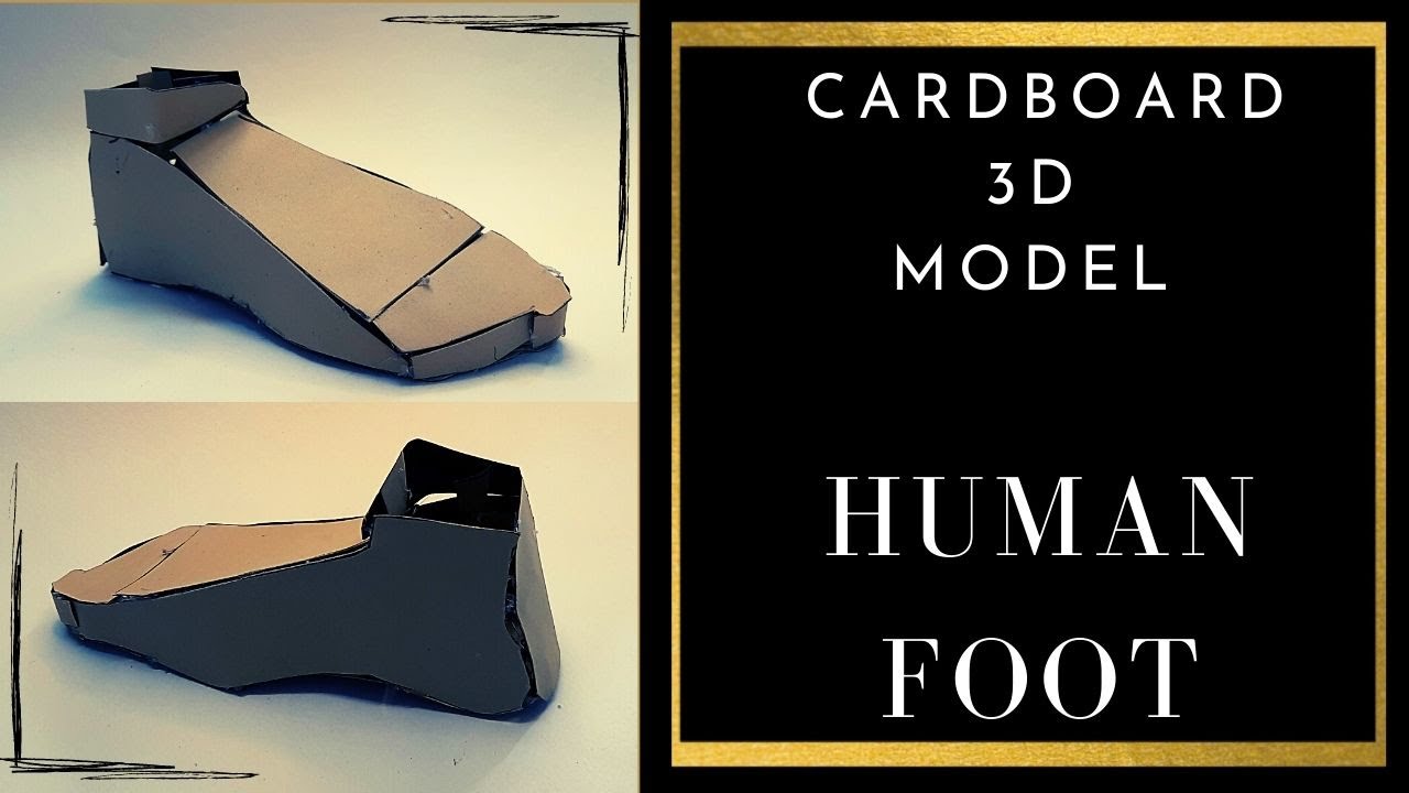 How to make basic shape of a Human Foot in 3D | Human Foot Cardboard ...