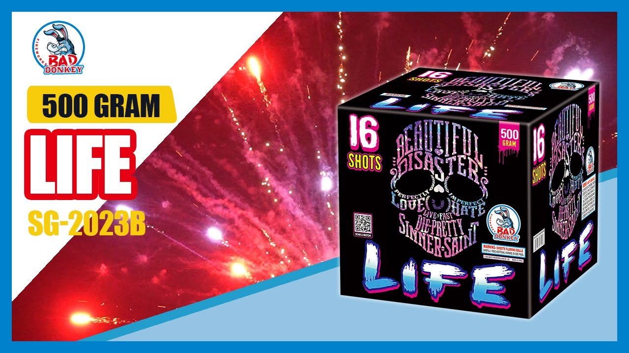 Evolution Pro Series SG-2023B Life 16shots Bad Donkey Fireworks - YouTube