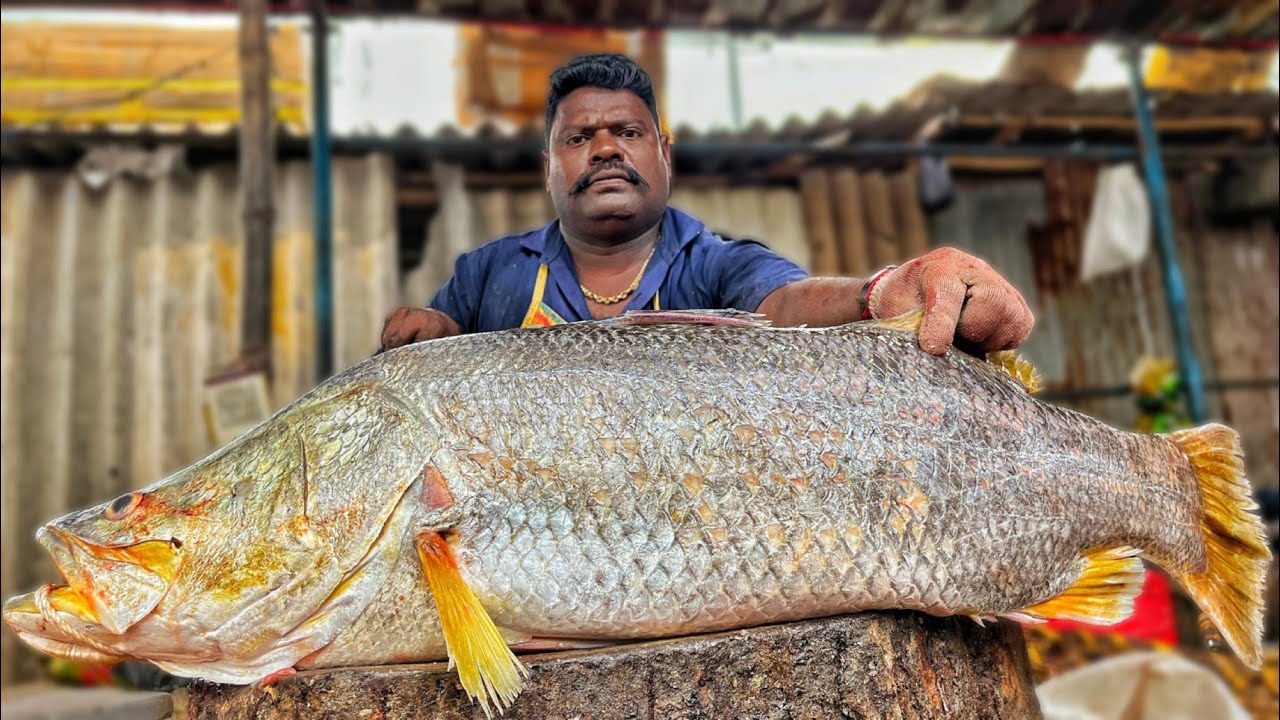 KASIMEDU 🔥 SPEED SELVAM | HUGE ORIGINAL CODUVA FISH CUTTING VIDEO | 4K ...