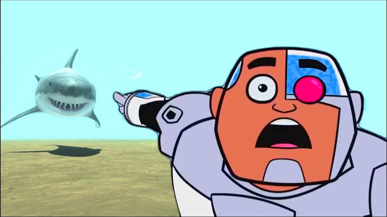 Guys Look a Birdie - Great White Shark Meme - YouTube