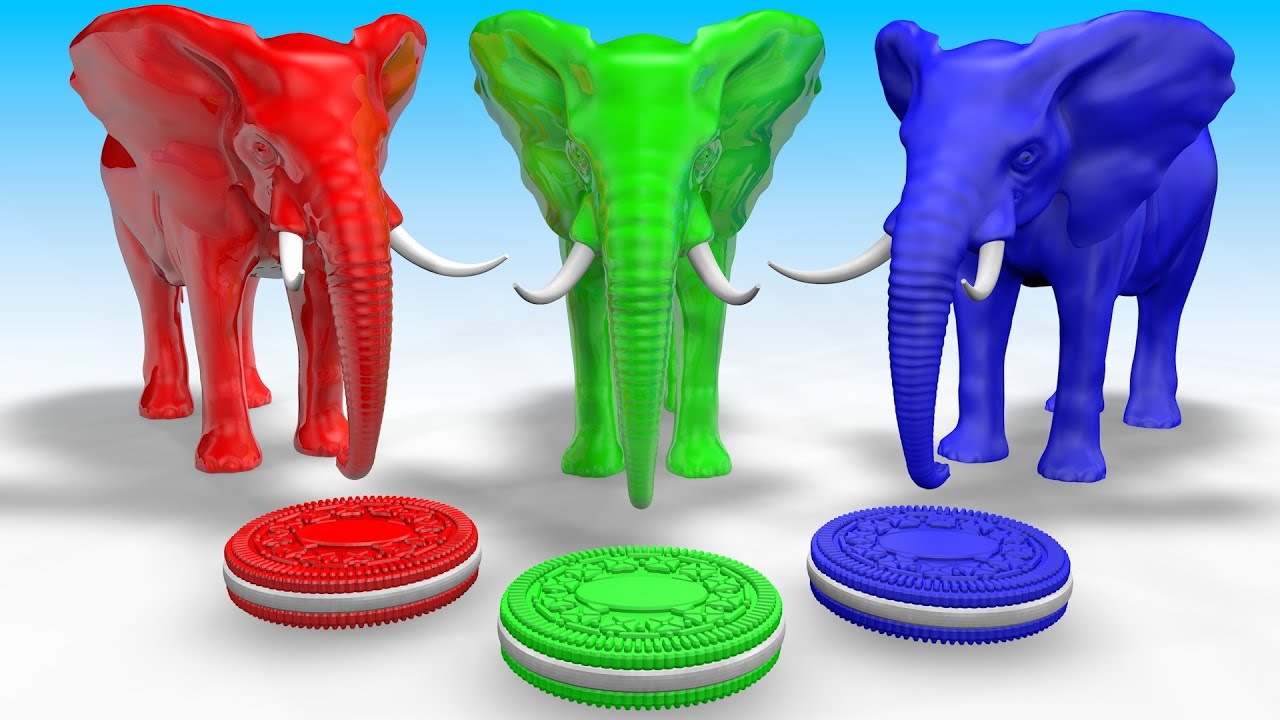 Learn colors with animals Elephant | Learn Colors for Children Kids ...