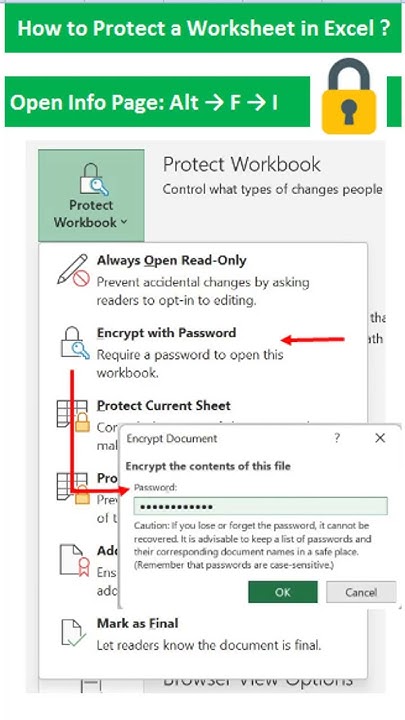 Shorts Excel Exceltricks Exceltips Exceltutorial Protect Youtube