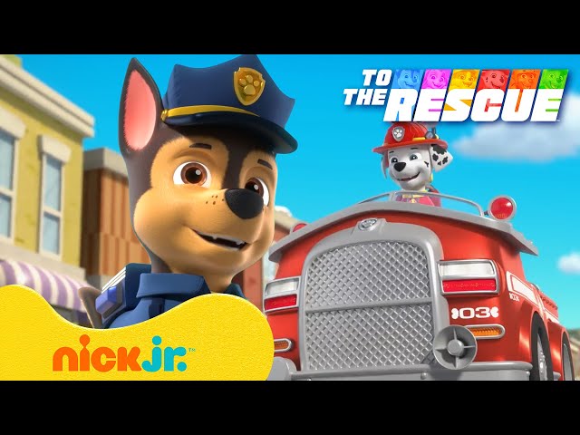 PAW Patrol To The Rescue: Search & Rescue Missions! #1 w/ Chase | Nick ...