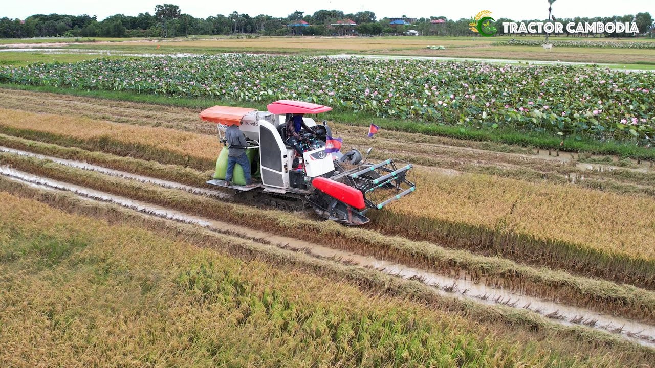 ម៉ាស៊ីនច្រូតស្រូវ Kubota Rice Harvester Working Skills | Cool And ...