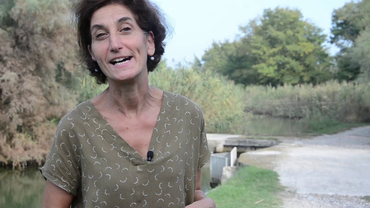 Intervista a Patrizia Bertolini sulla collaborazione con Pieces of ...