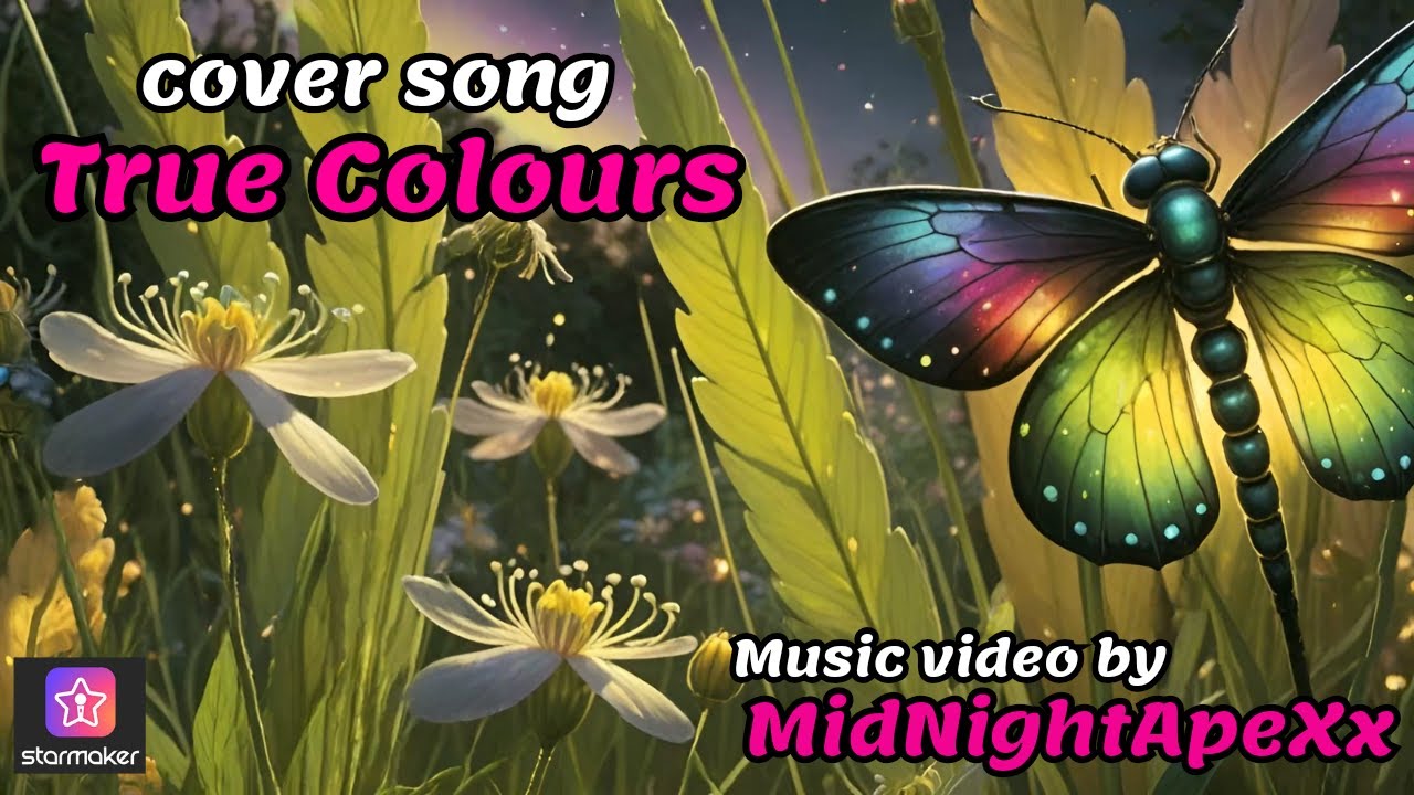 Feel Your Spirit Soar with Midnight Apex's 'True Colour' Performance ...