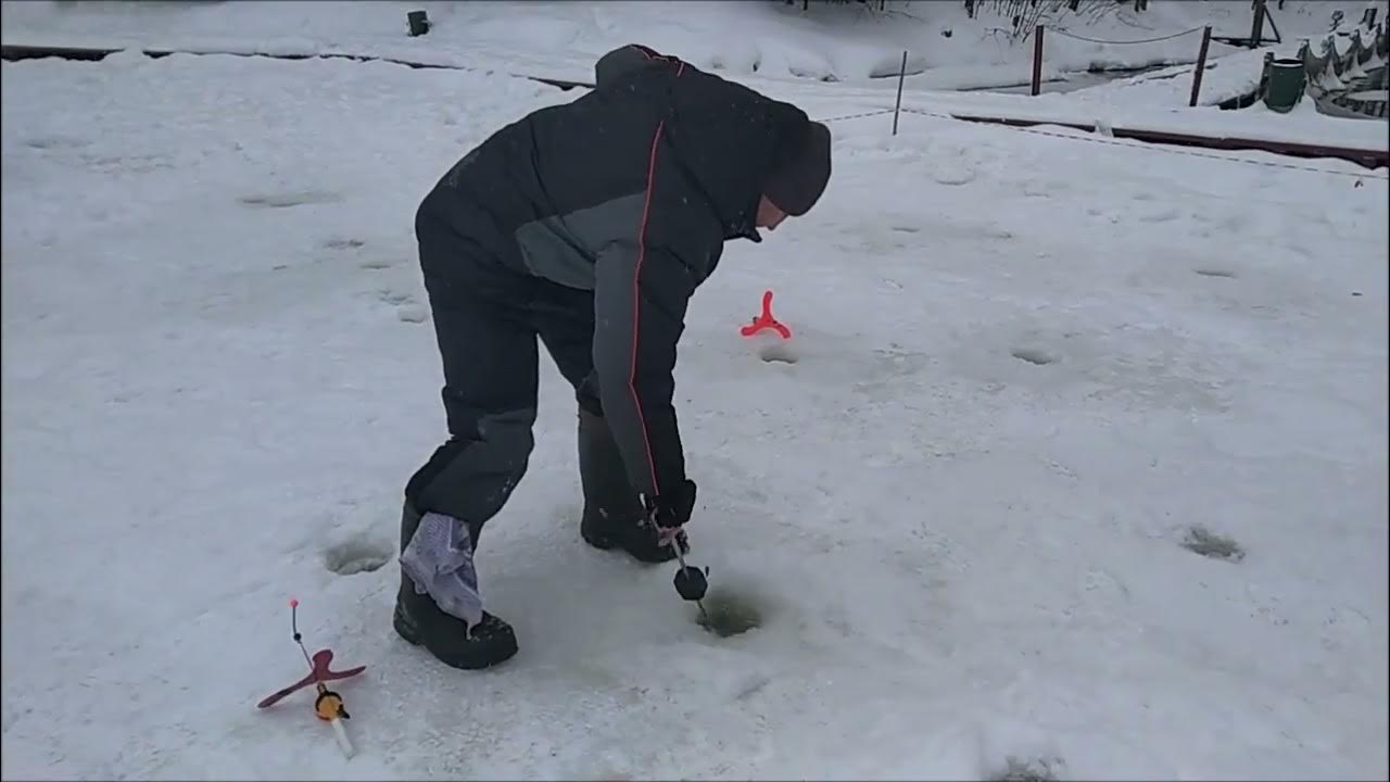 Рыбалка на спорт зоне. Одна поставуха сделала больше, чем от неё ...