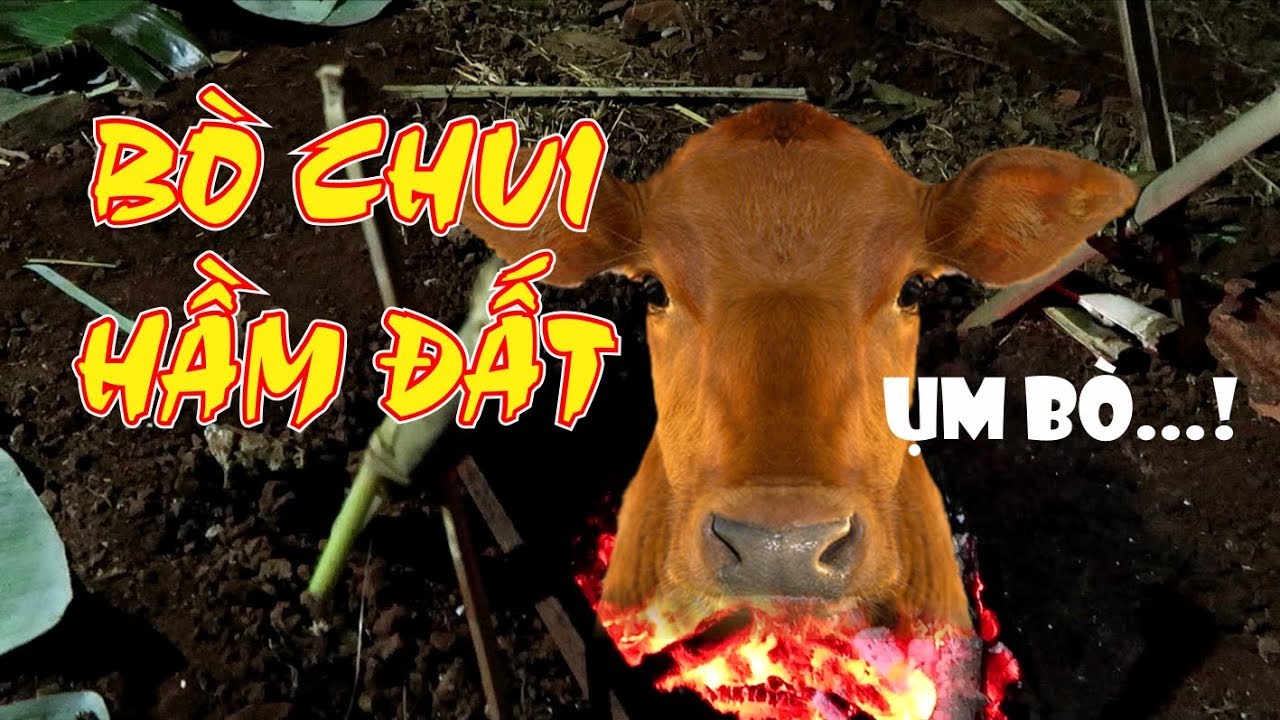 Thiện Râu Vlog | Bò Chui Hầm Đất - YouTube