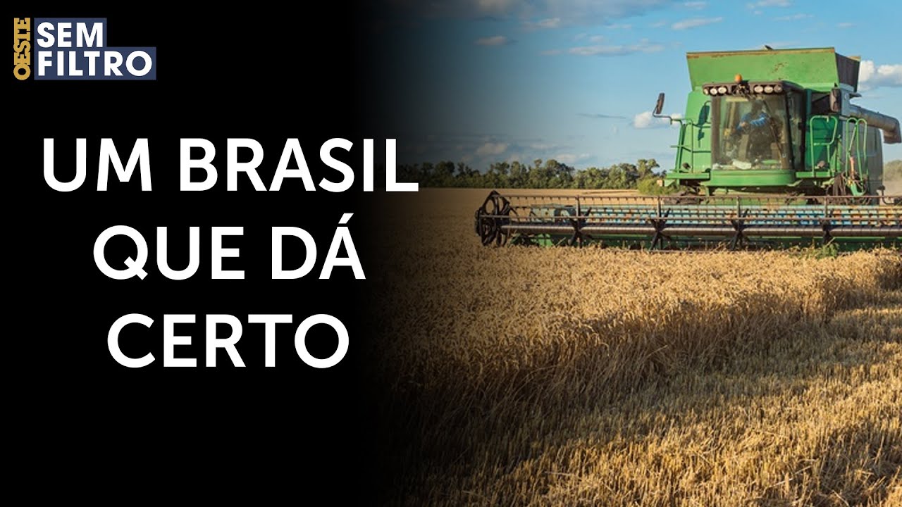 O boom da agropecuária no Brasil, reportagem especial da Revista Oeste ...