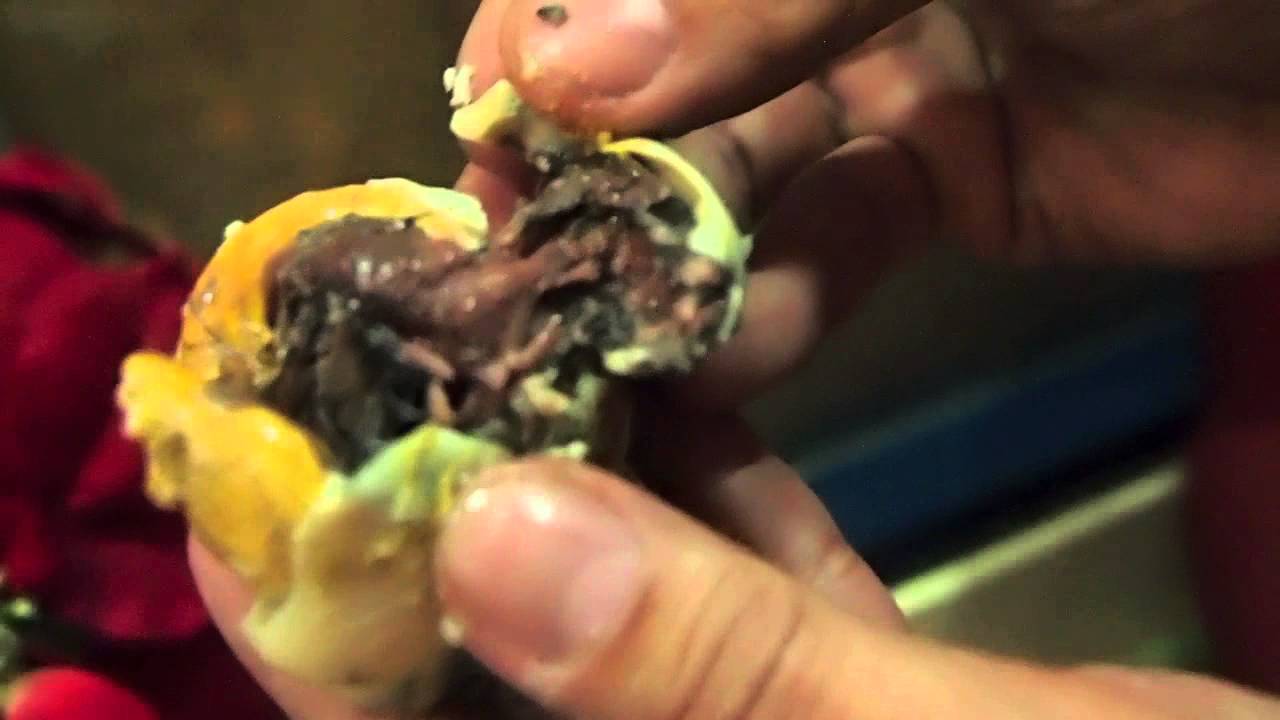 Eating Balut - YouTube