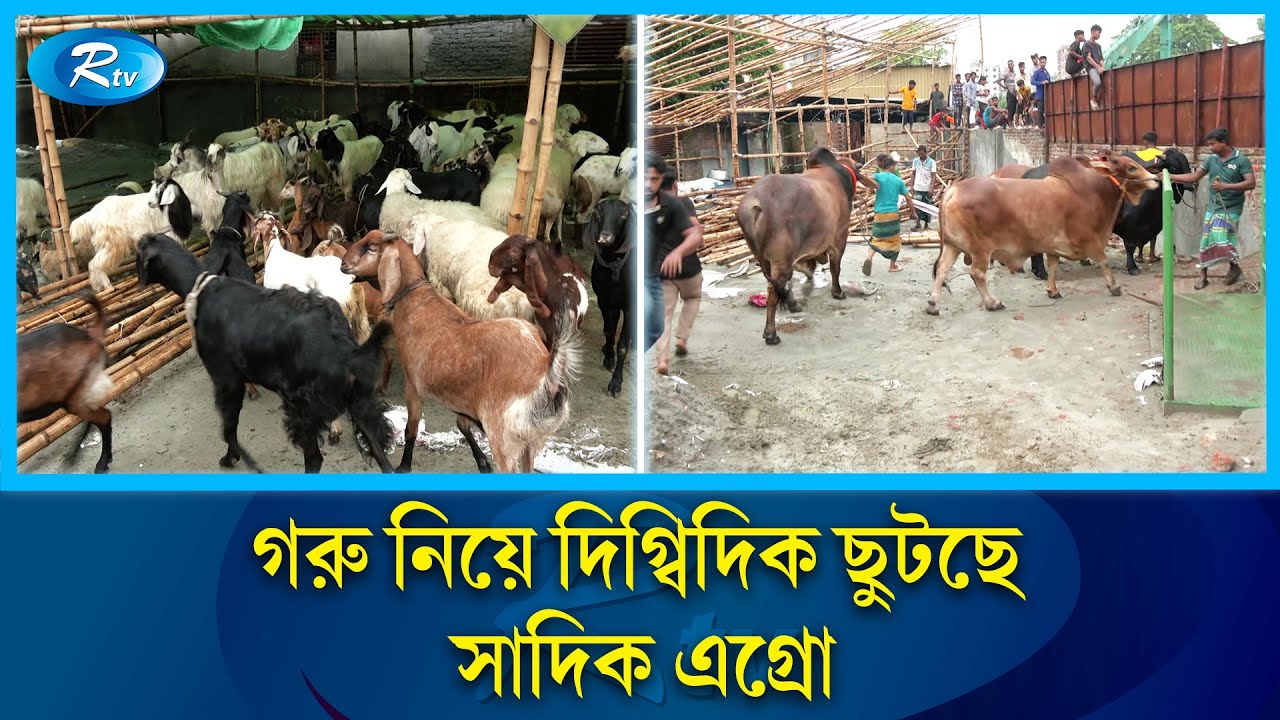 গুড়িয়ে দেয়া হলো সাদিক এগ্রোর আরো একটি খামার | Sadik Agro | Rtv News ...