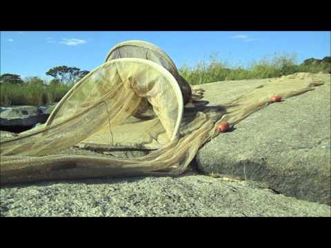 Cubango-Okavango River Basin Upper Catchment Biodiversity Survey 1 SD ...