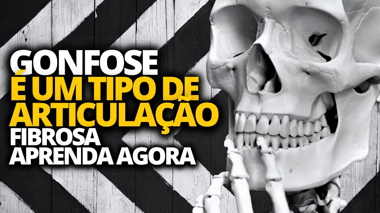 ARTICULAÇÃO FIBROSA GONFOSE - YouTube