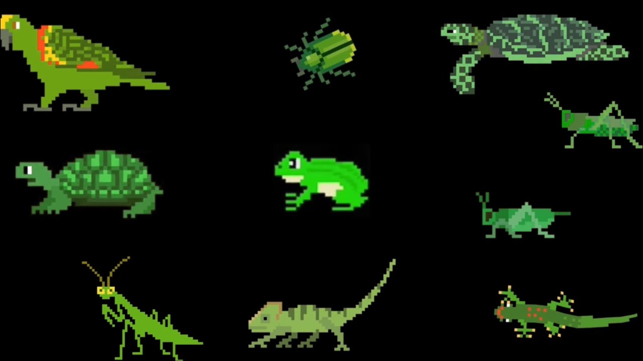 Green Animals - The Kids' Picture Show - YouTube