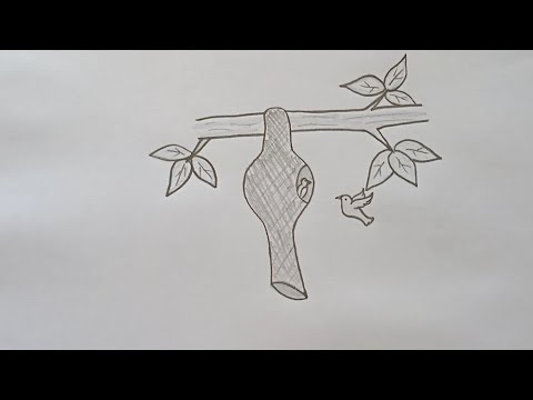 how to draw Baya weaver bird Nest drawing step by step for beginners ...