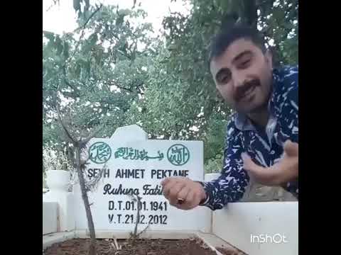 Fuat Pektane - Baba