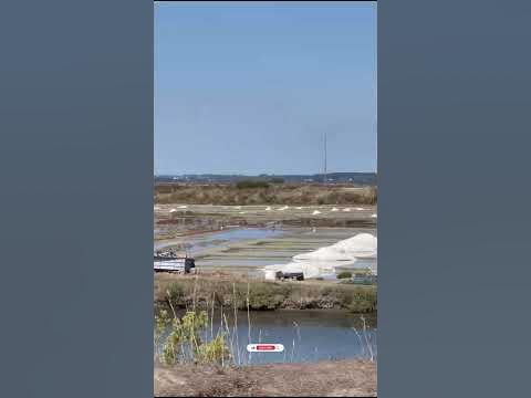 Знаменитая французская соль ШОК - YouTube