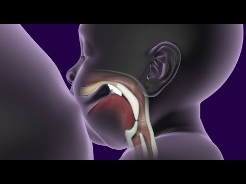 how babies nurse naturally: animation of breastfeeding