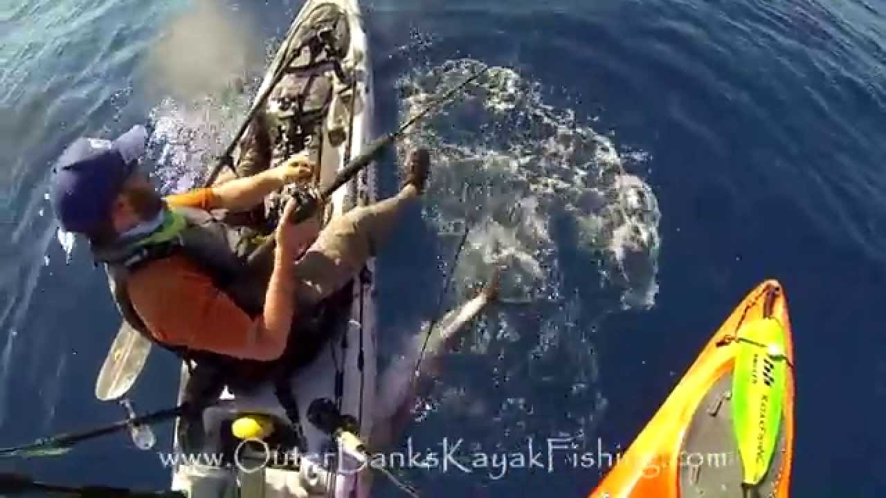Amberjack - YouTube