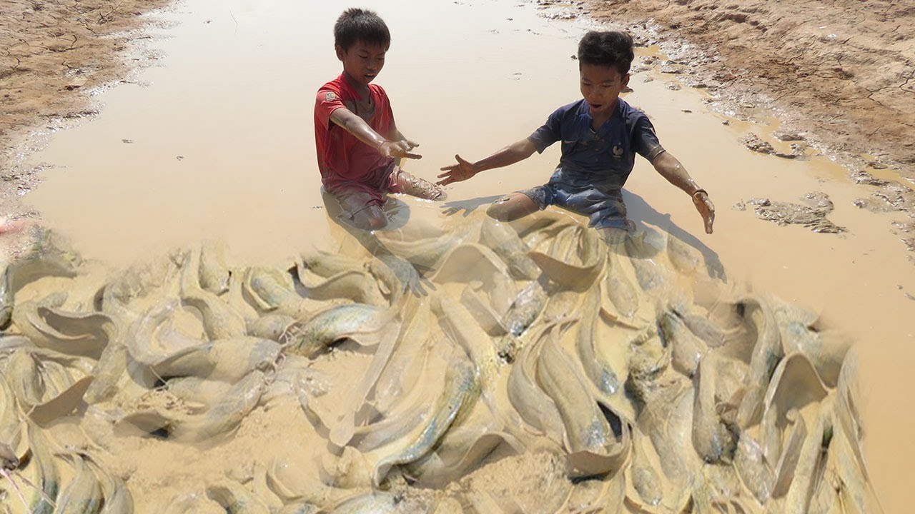 Legend Fishing | Wow! Giant Fish And A Lot of Fish In Mud Water - Real ...