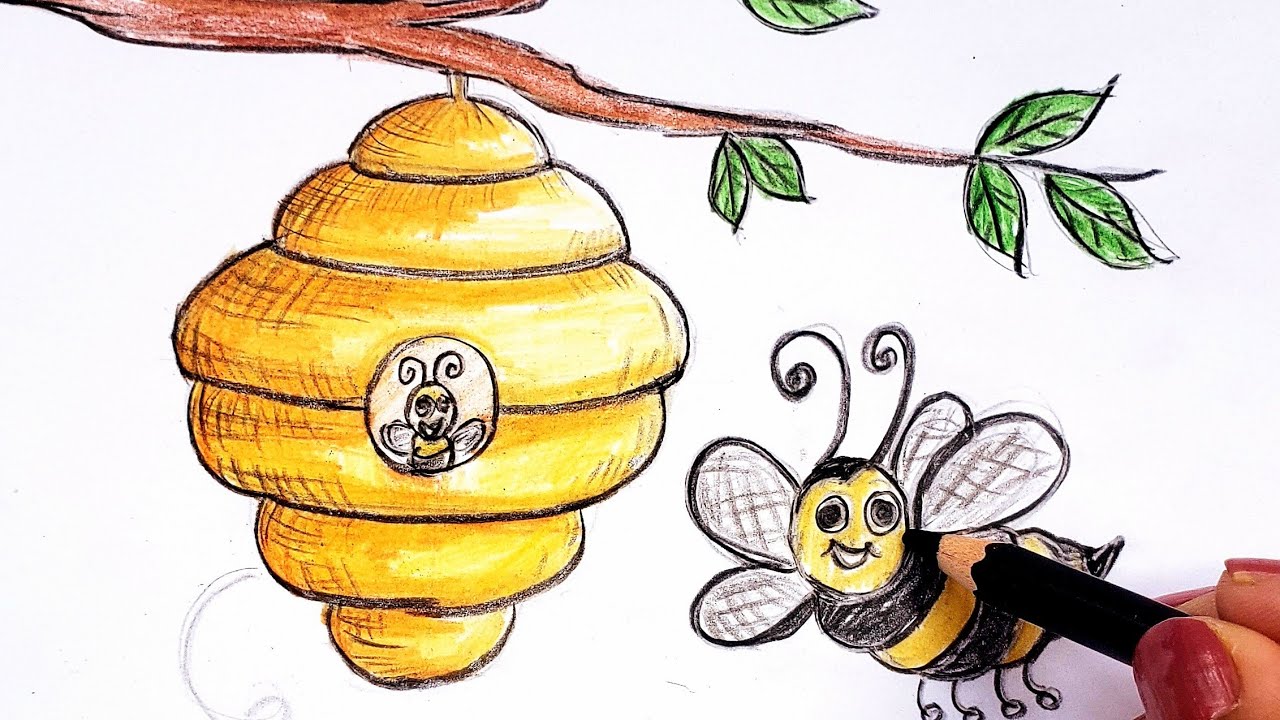 How to Draw 🐝 Cute Honey Bee, Beehive for Beginners/ কিভাবে সুন্দর মধু ...
