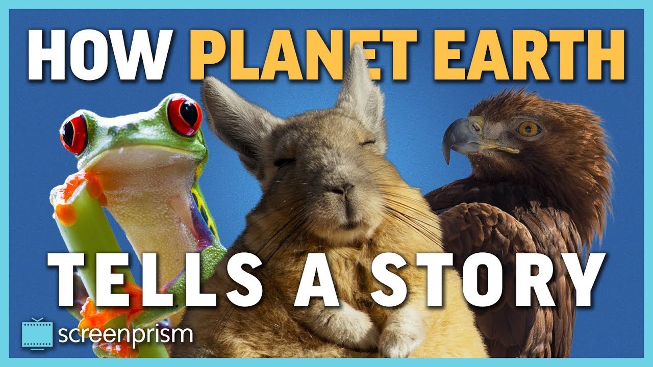How Planet Earth Tells a Story, Part 1 - YouTube