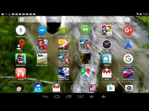 wate look a lot clowser a glich