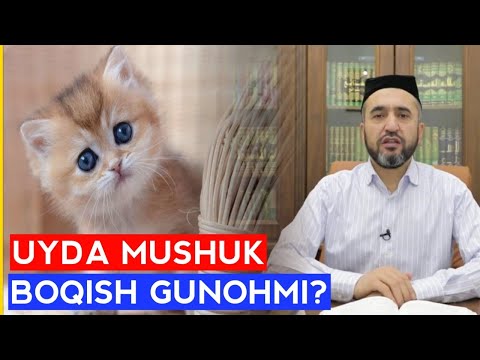Uyda mushuk boqsa uyda farzand tug'ilmaydini? | Muhammad Ayyubxon domla