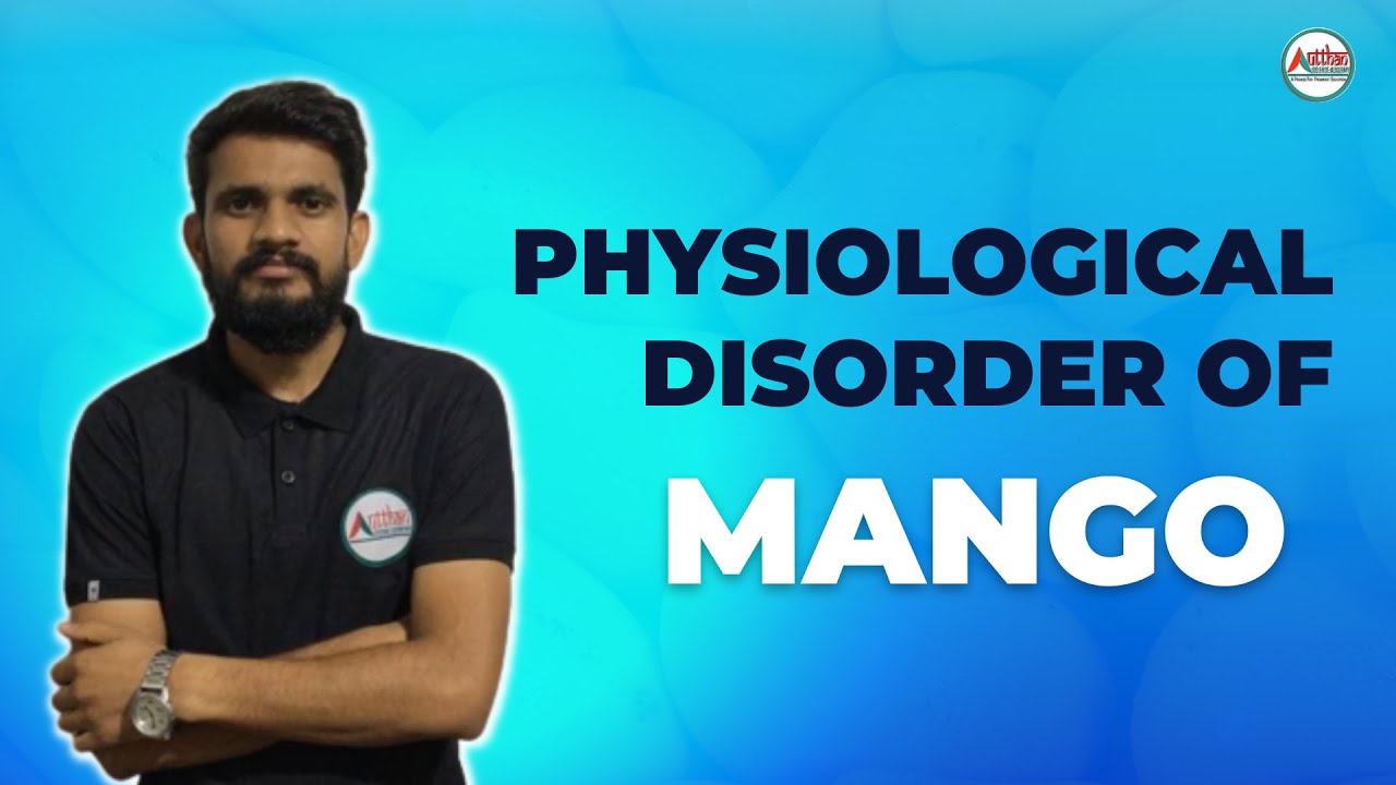 physiological disorder of mango | physiological disorders | Major ...