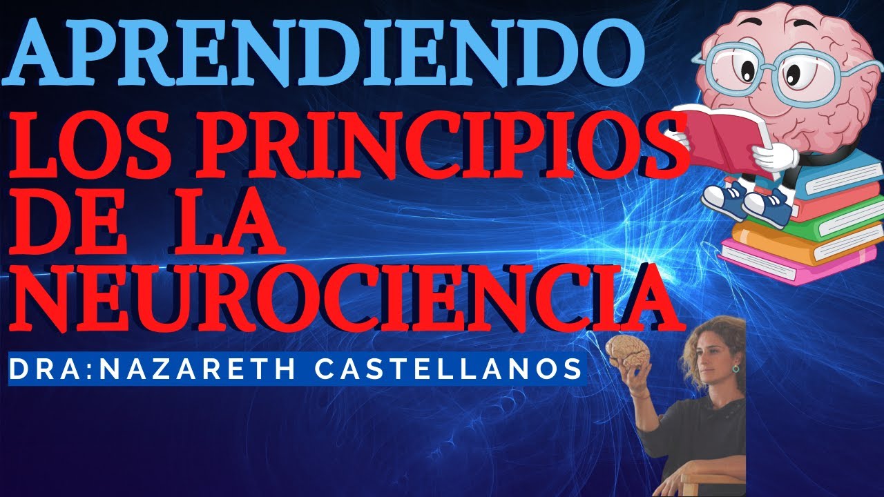 🧠 APRENDE LOS PRINCIPIOS BÁSICOS DE LA NEUROCIENCIA- DRA NAZARETH ...