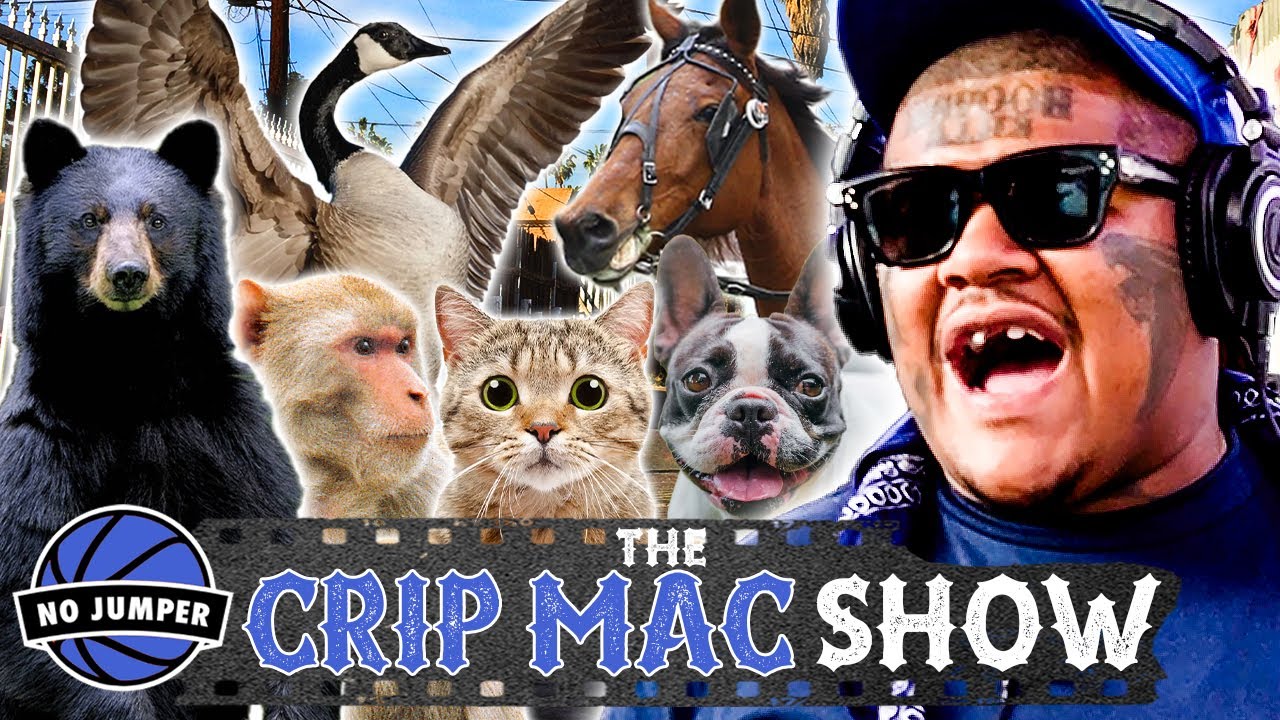 Crip Mac Reacts to Crazy Animal Videos - YouTube