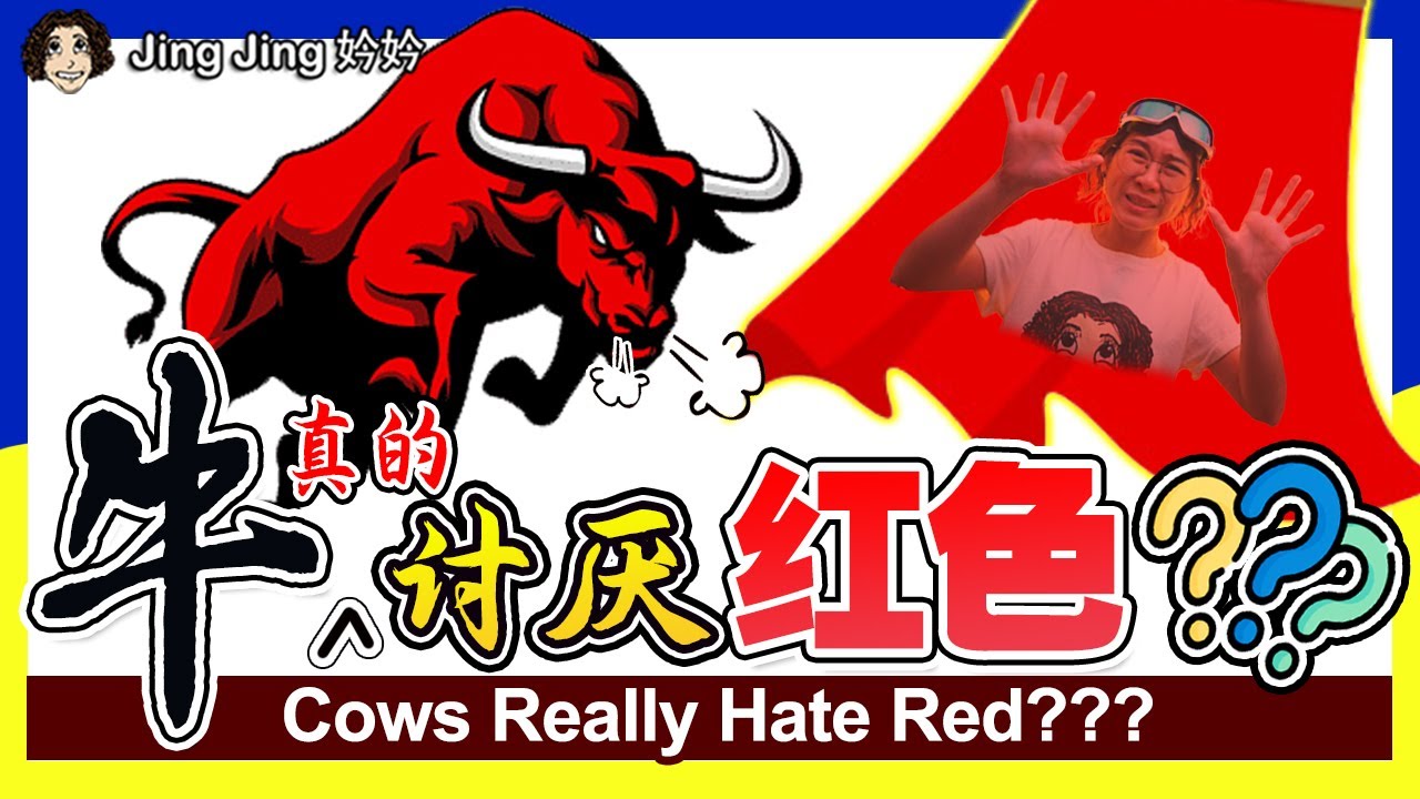[Fun Fact] Bull really hates Red? - YouTube